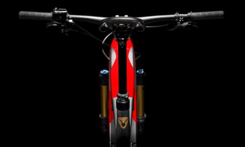Rotwild R.X 1000 ULTRA 2024 - Bicicleta eléctrica de montaña eBike