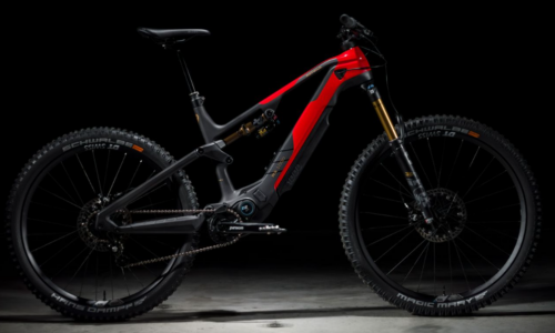 Rotwild R.X 1000 PRO 2024 - Bicicleta eléctrica de montaña eBike